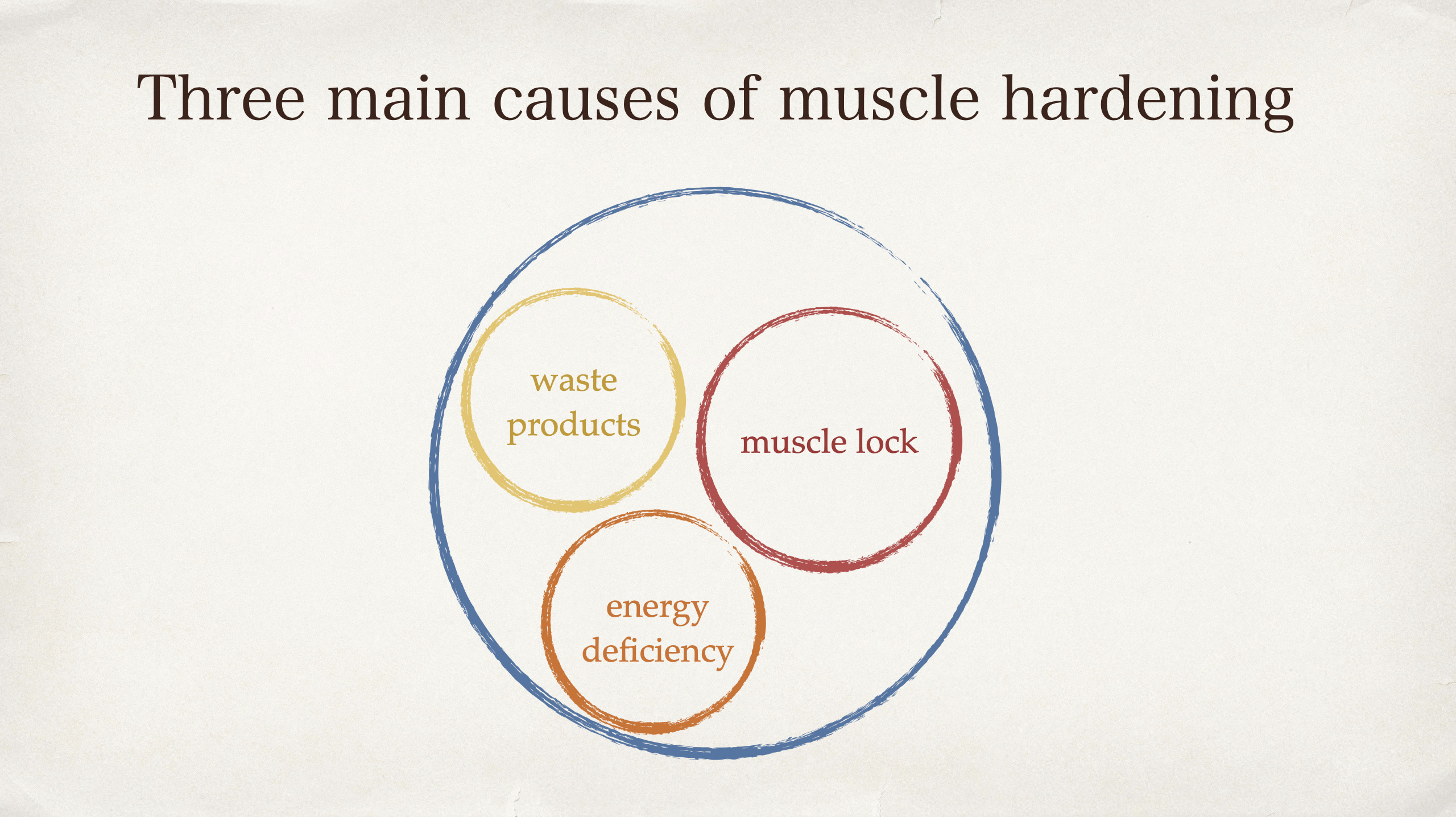 Unleashing the Truth About Muscle Lock: A Revolutionary Approach to ...